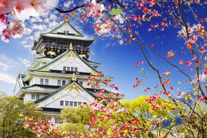 【樂吃購！日本のみ】大阪雙層露天巴士・飽覽城市美景！（附多語言語音導覽）OSAKA SKY VISTA＜大阪站出發＞ | 大阪 大阪駅・梅田駅 ...